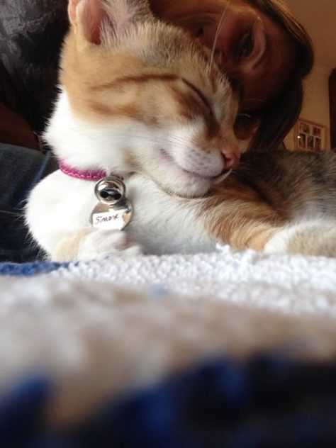 The pur-fect playground in Adelaide | Hello World!